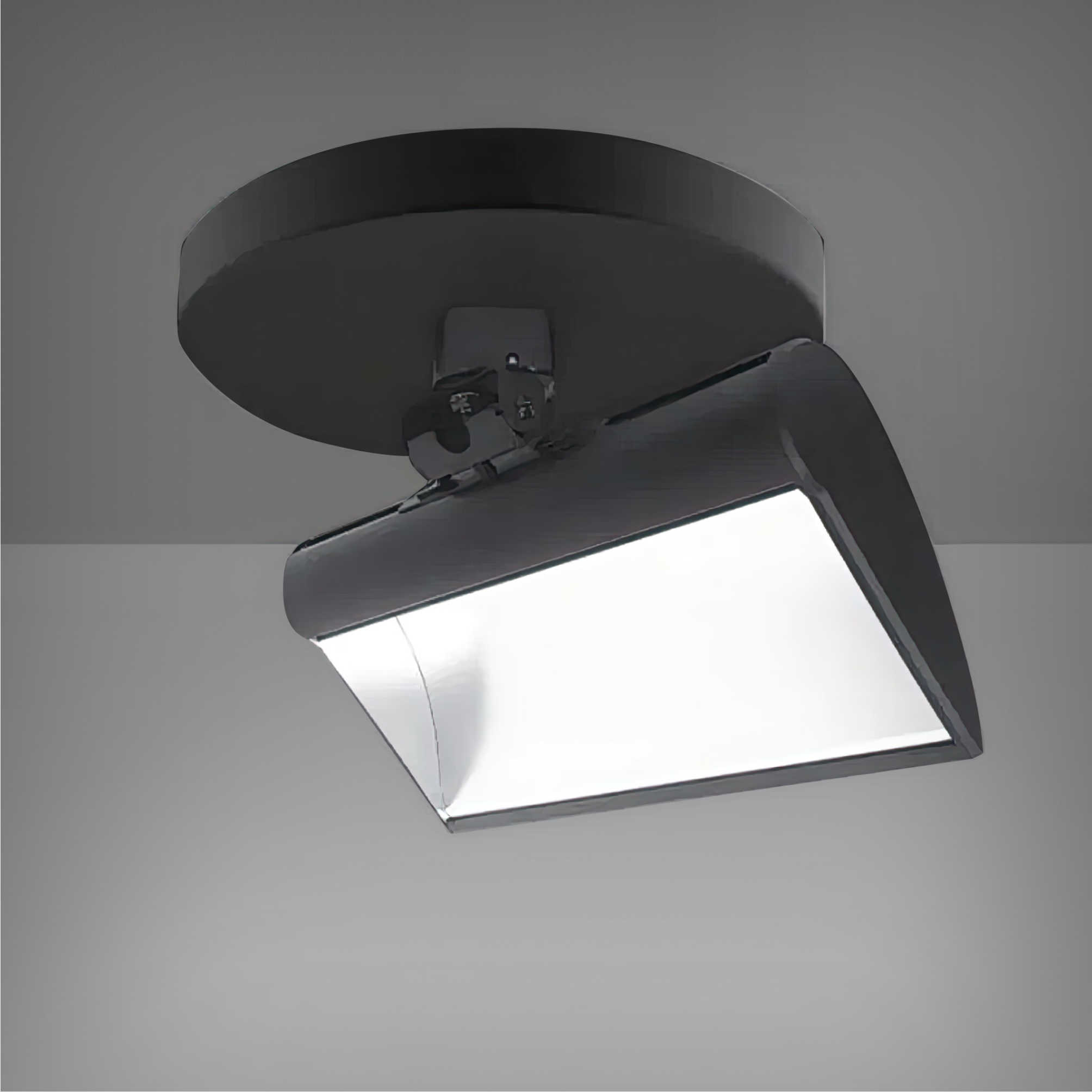 Wall Wash Monopoint LED Light with Architectural Design – LED Lights Direct