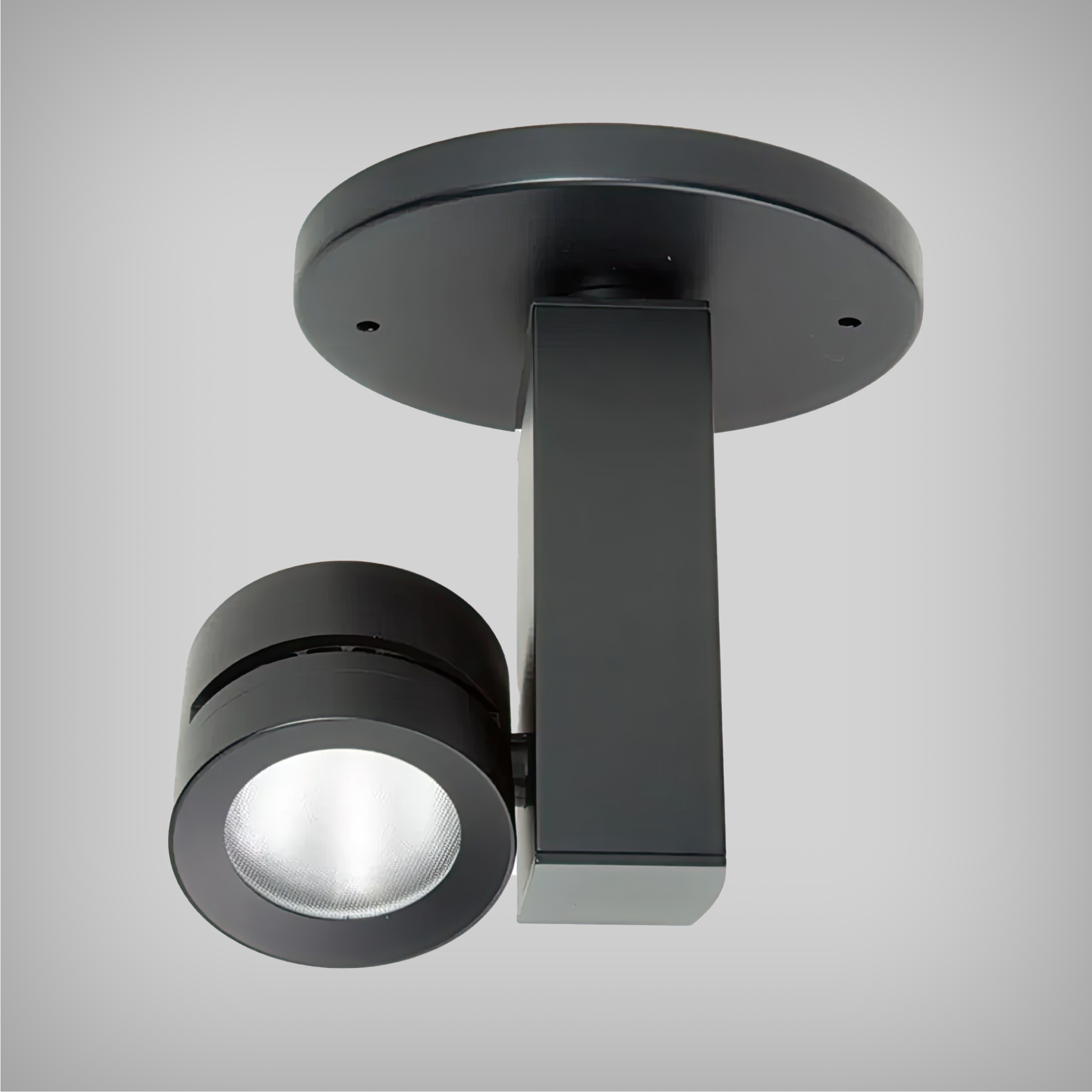 Adjustable Monopoint Light with Architectural LED, Black and White ...