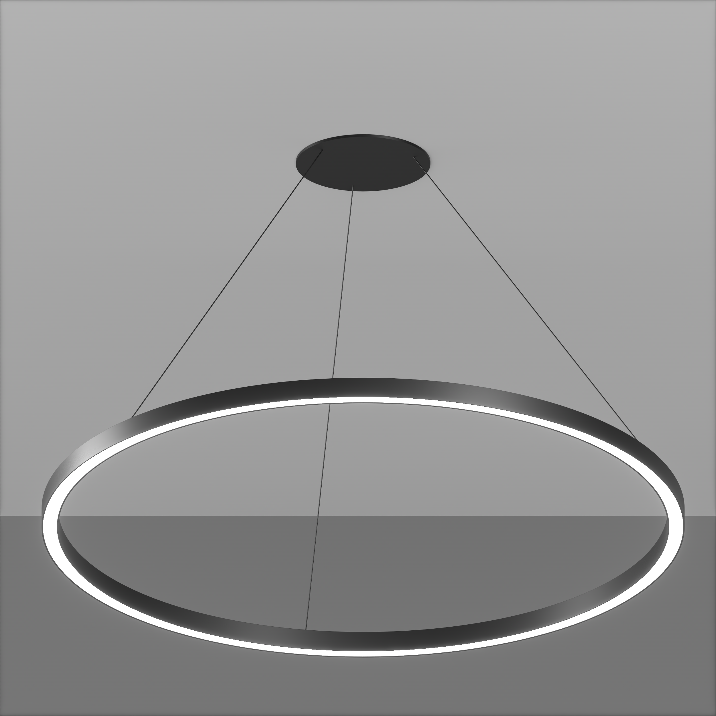Central Canopy Suspended - LED Ring Pendant – LED Lights Direct